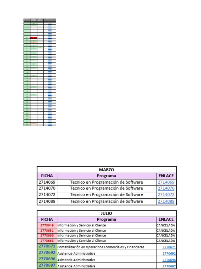 FICHAS JESSICA | PDF | Contabilidad | Microsoft Excel