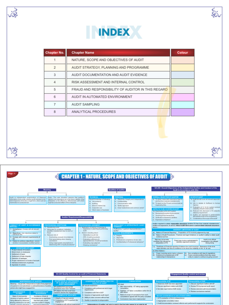 CA Inter Audit Module Overview | PDF | Audit | Financial Audit