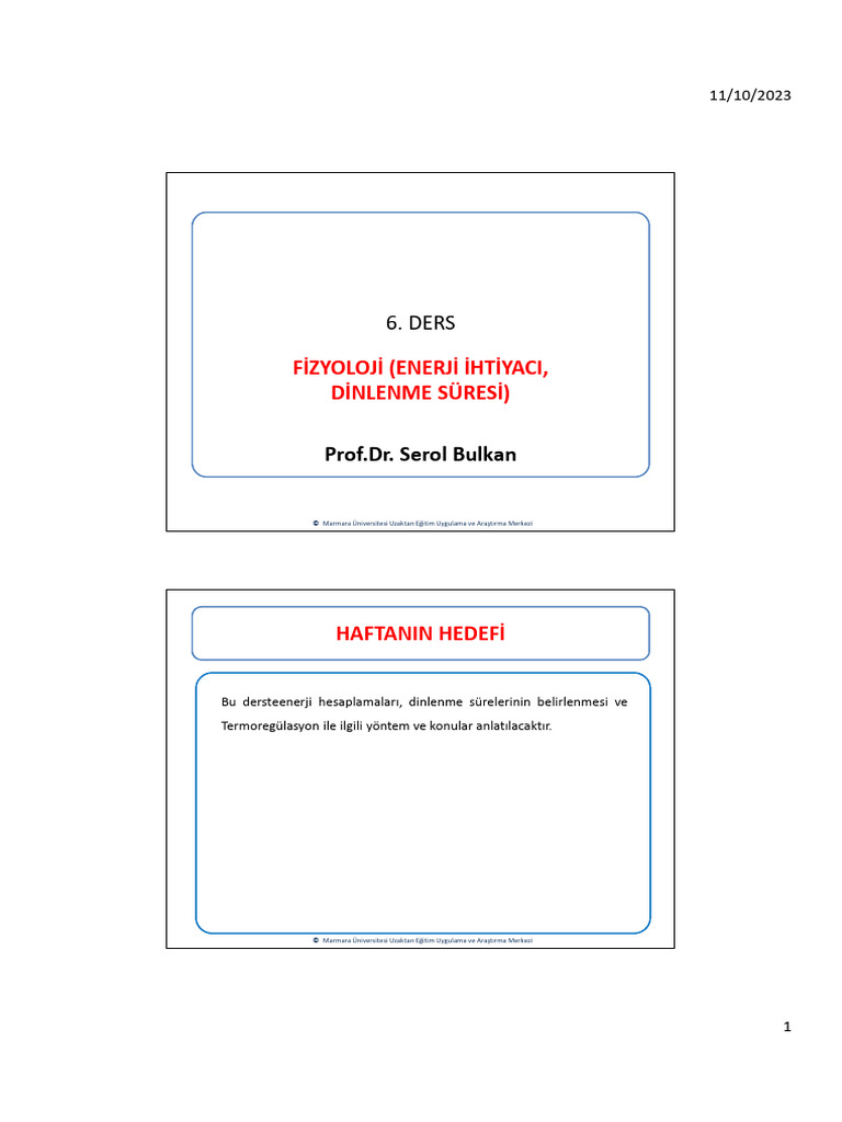Ie7306 Endustriyel Ergonomi Hafta 06 Handouts | PDF