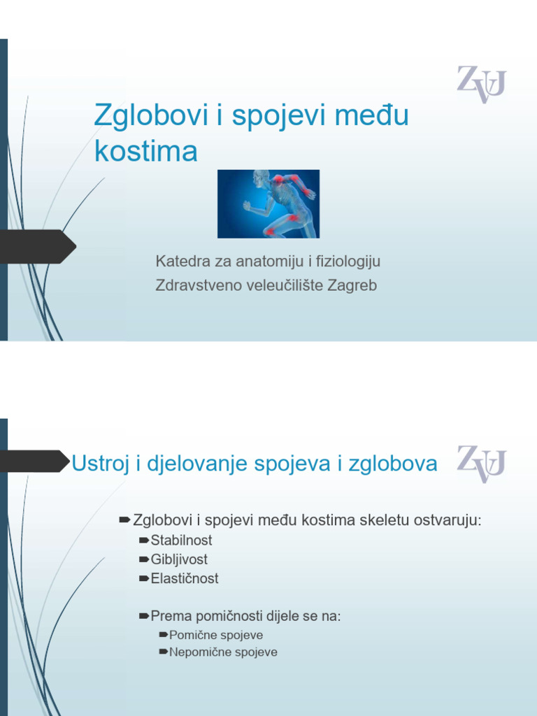 Zglobni Sustav | PDF