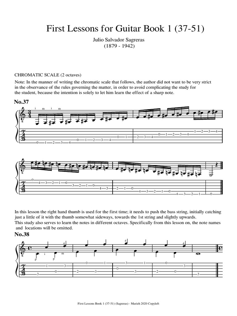 Beginner Guitar Lessons | PDF | String Instruments | Musical Techniques