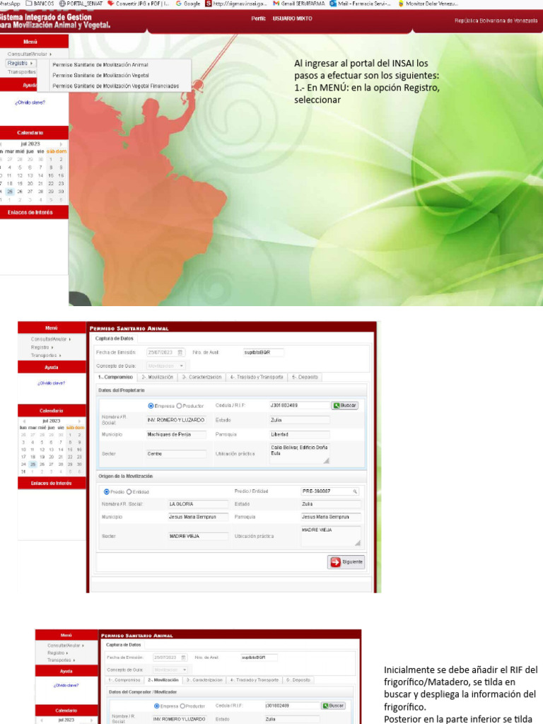Pasos para Emision de Guias Insai | PDF