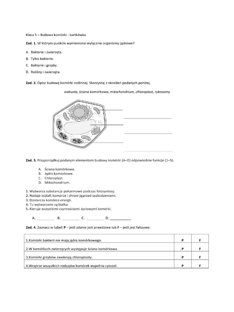 Biologia Klasa 5 - Budowa Ogniw - Kartkówka | PDF