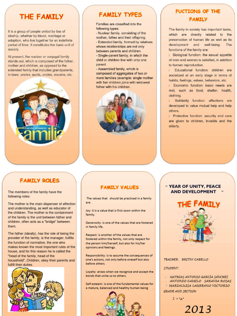 The Family | PDF | Psychological Concepts | Behavioural Sciences