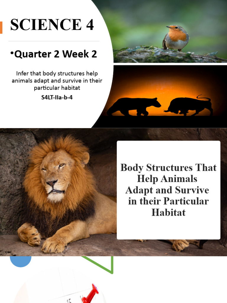 Week 2 - Science 4 | PDF | Habitat | Predation