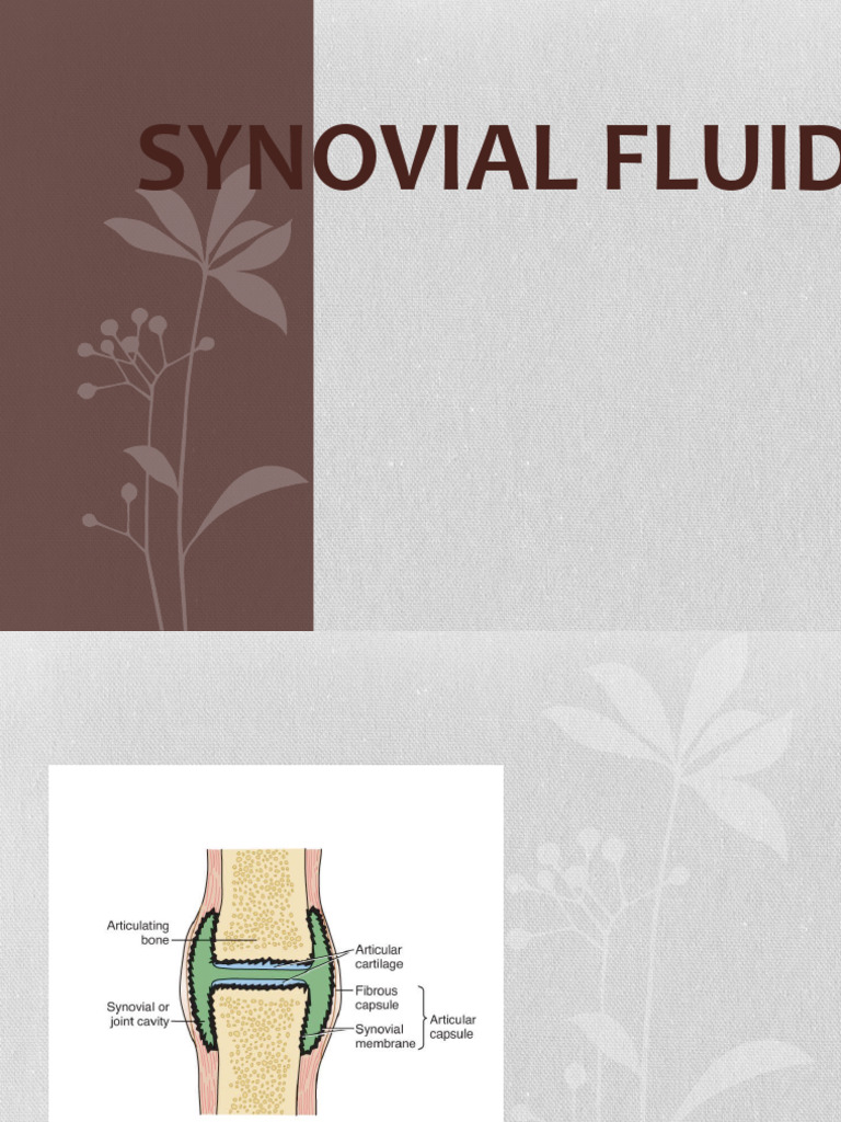 Synovial Fluid | PDF | Osteoarthritis | Joint