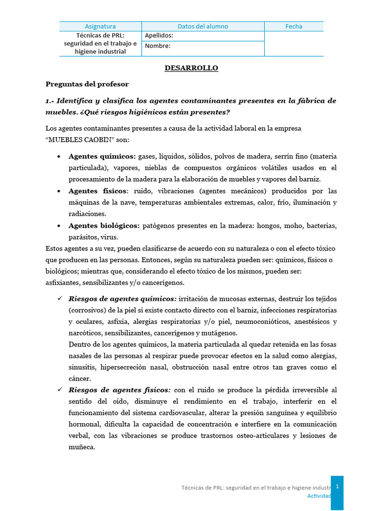 Muebles Caobin Trabajo Grupal | PDF | Higiene Ocupacional | Decibel