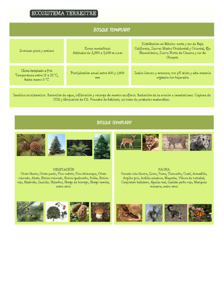 Tipos de Ecosistemas | PDF