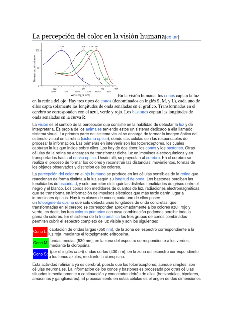 La percepción del color en la visión humana | PDF | Color | Percepción ...