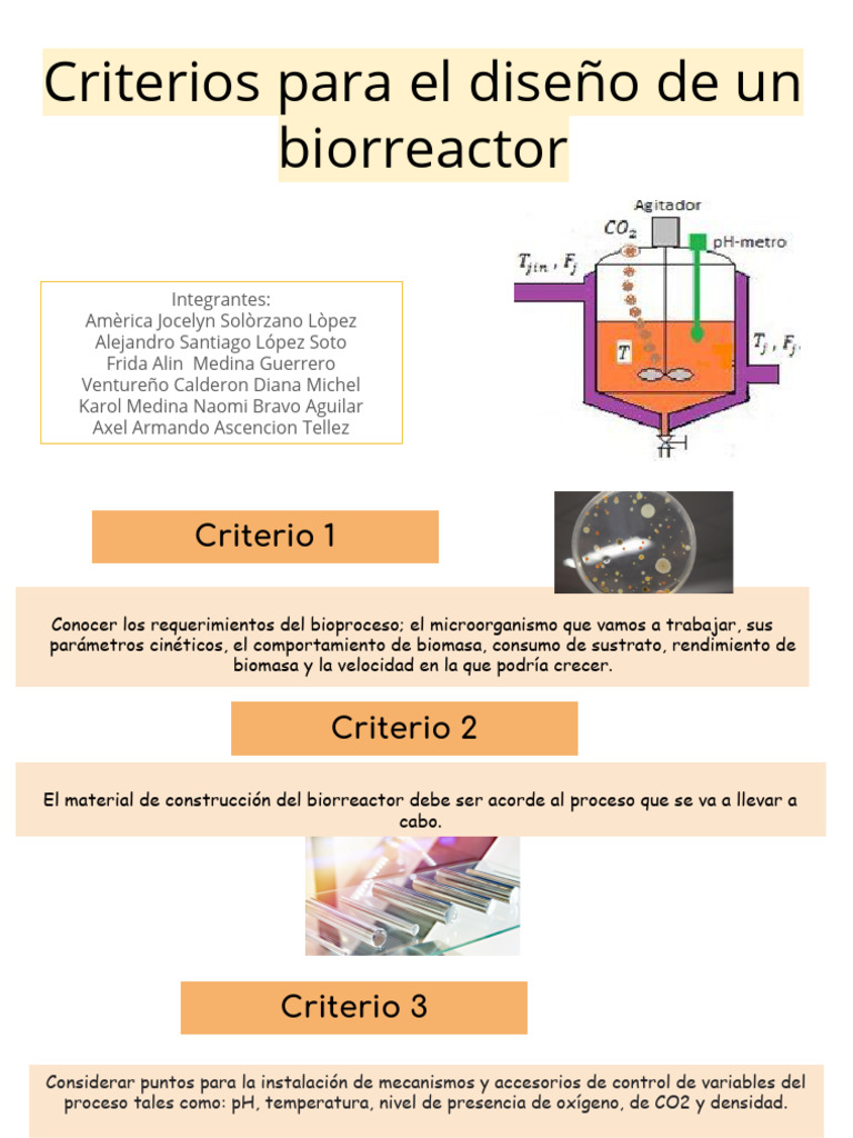 Criterios Mas Importartes para El Diseño de Un Biorreactor | PDF