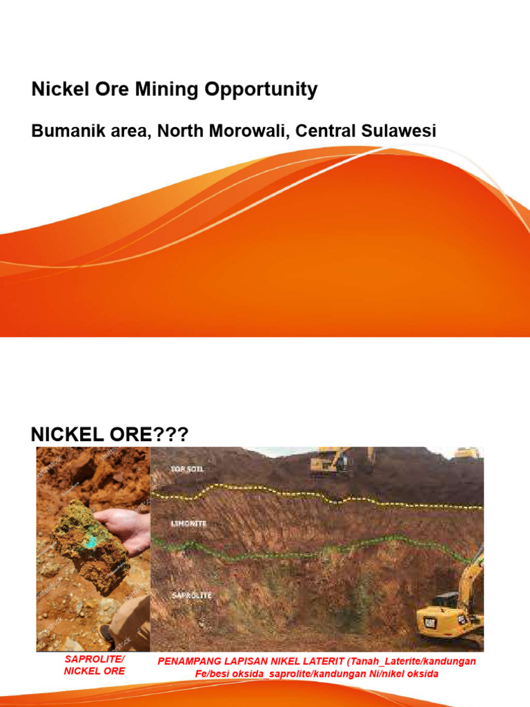 Nickel Ore Mine Opportunity | PDF