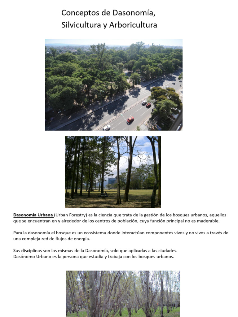 Clase 1 Conceptos Dasonomía Silvicultura | PDF