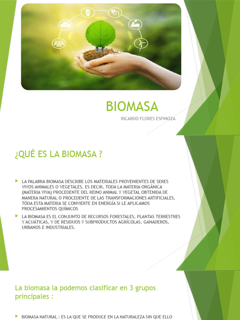 BIOMASA | PDF | Biomasa | Energía renovable