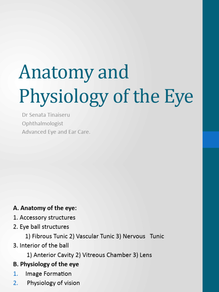 Anatomy and Physiology of The Eye Opthalmology Lecture | PDF | Cornea ...
