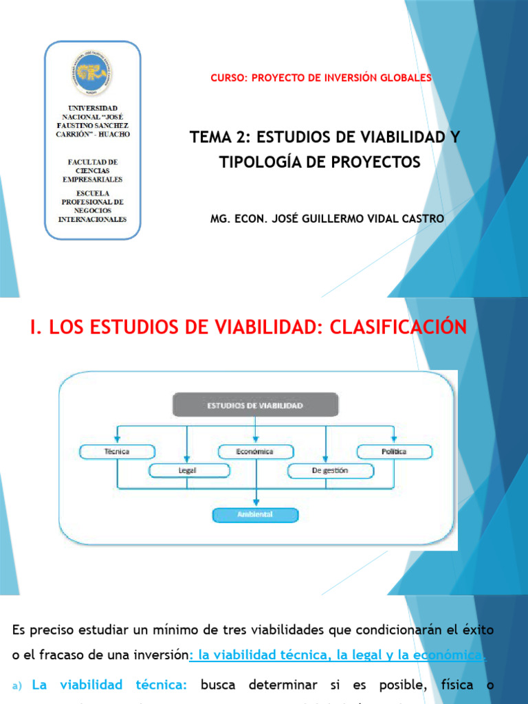 Estudios de Viabilidad en Proyectos | PDF | Outsourcing | Business