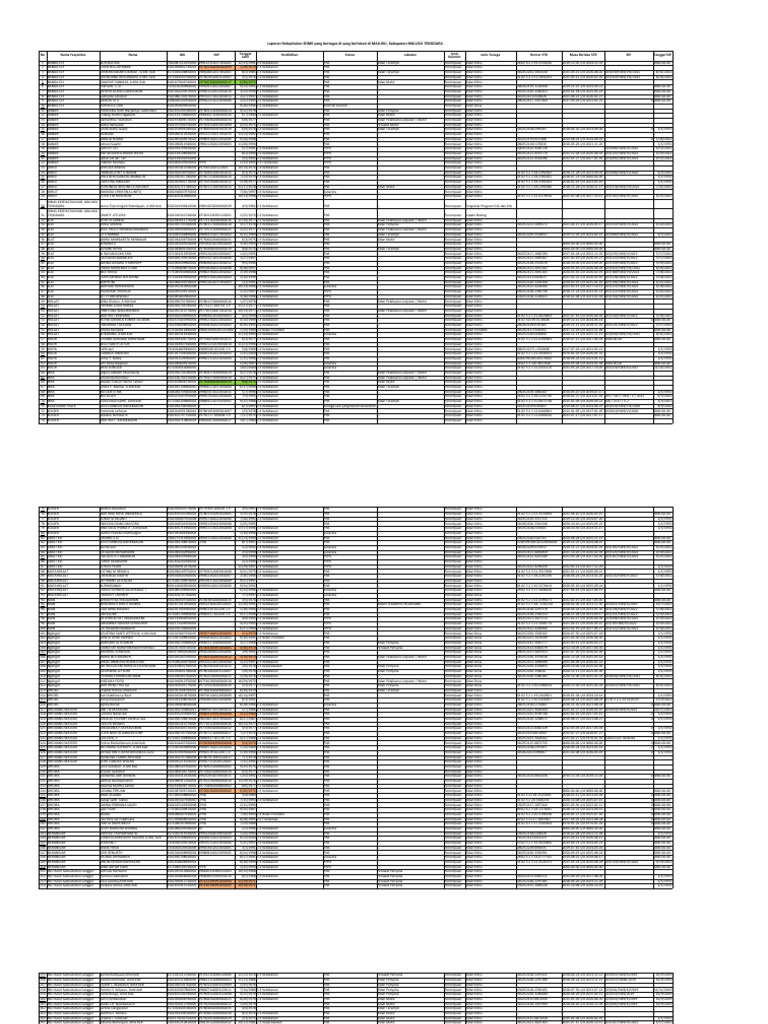 Data Bidan Seluruhnya | PDF