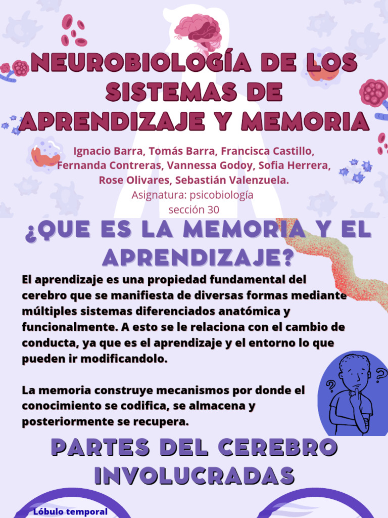 Memoria Y Aprendizaje Pdf Memoria Aprendizaje