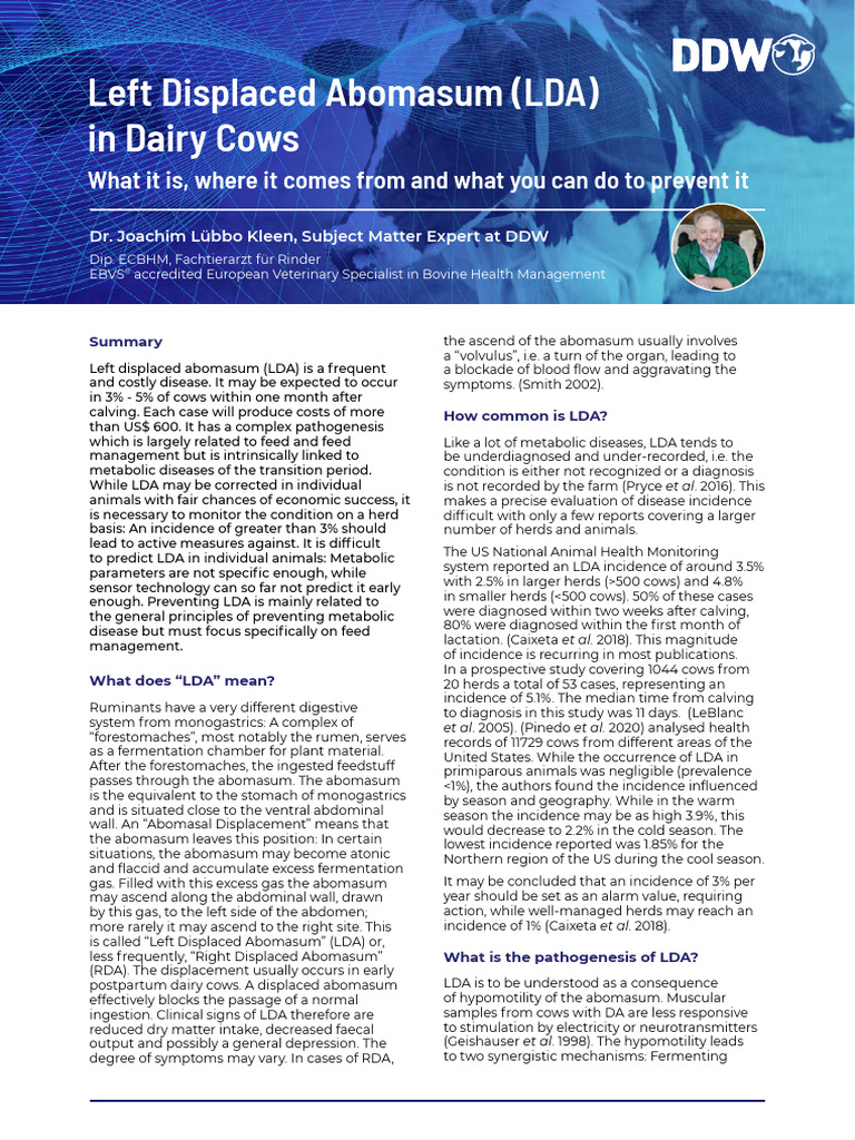 006 6073.004 DDW White Paper LDA | PDF | Dairy Cattle | Cattle