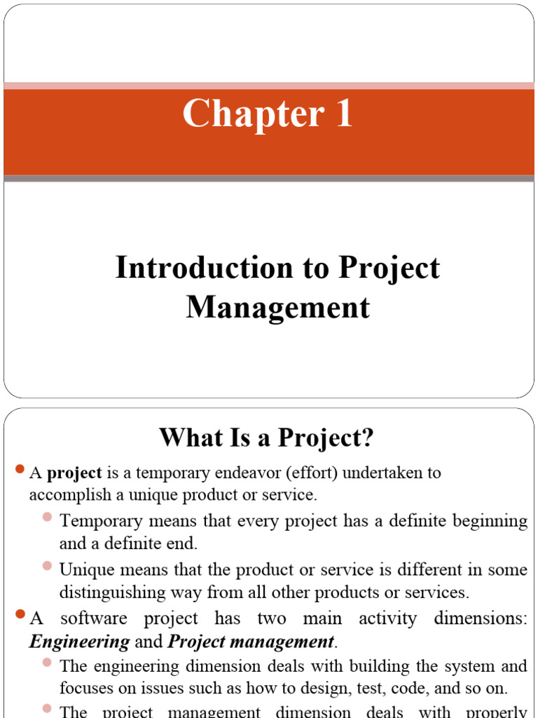 Introduction to Project Management Basics | PDF | Project Management ...
