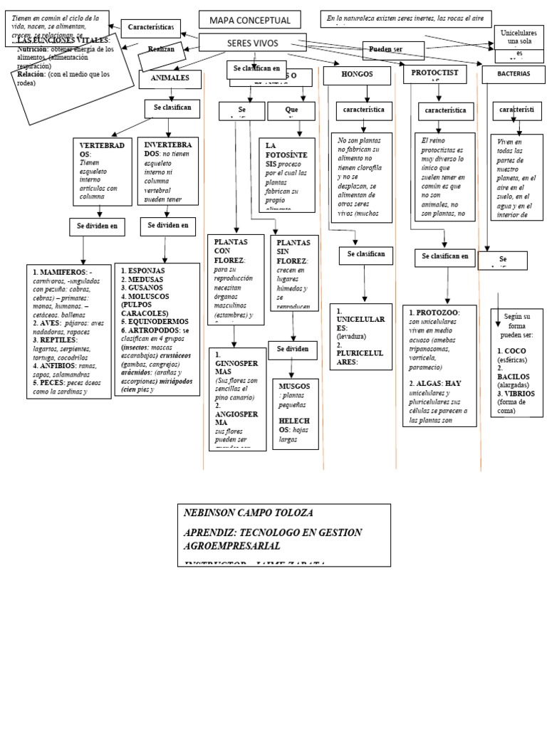 Mapa Mental Sena | PDF | Plantas | Biología