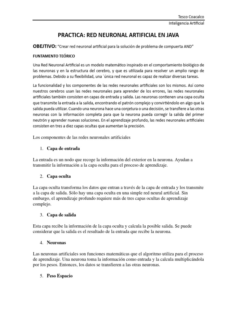 PRACTICA Java | Descargar gratis PDF | Red neuronal artificial | Neurona