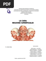 Región Geniana o Región de La Mejilla | PDF | Anatomía | Anatomía humana