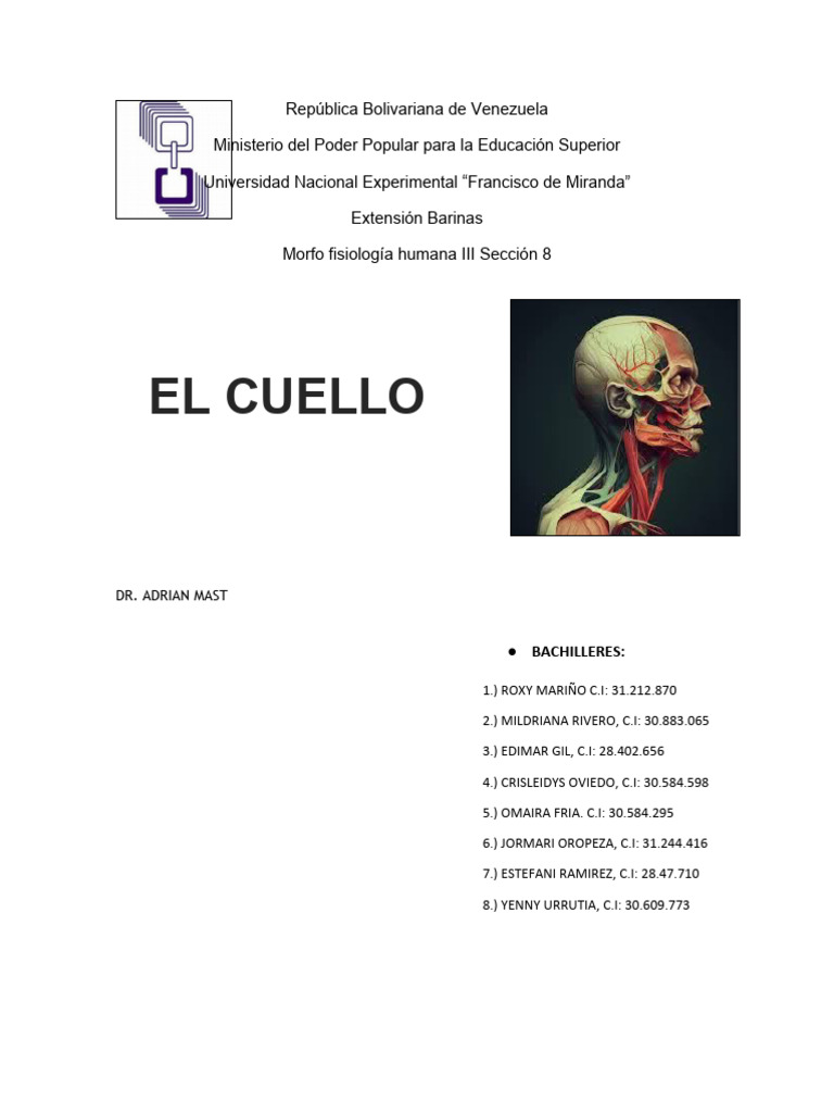 Anatomía y Funciones del Cuello Humano | PDF | Laringe | La columna ...