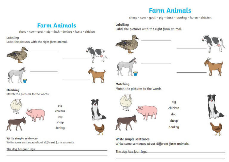 Farm Animals | PDF