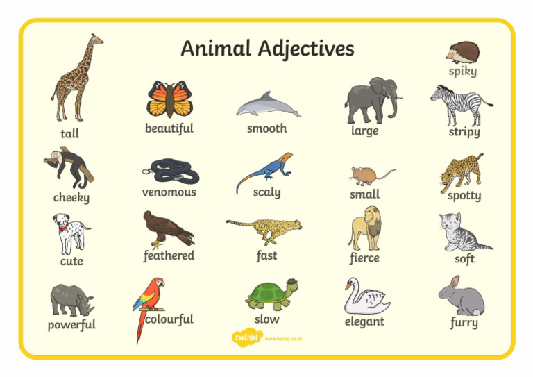 Animals Adjectives | PDF