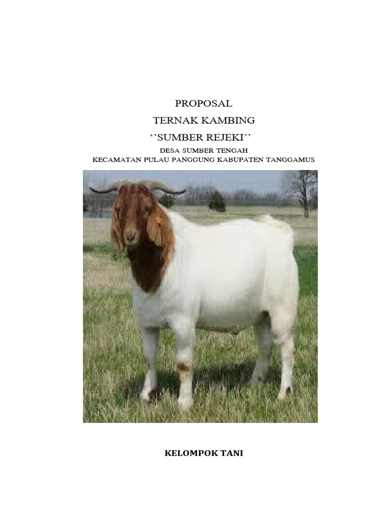 Proposal Ternak Kambing | PDF