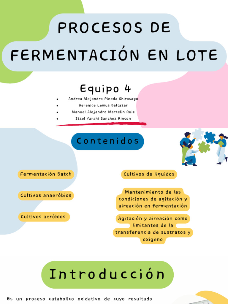 Procesos de Fermentación en Lote | PDF | Fermentación | Las bacterias