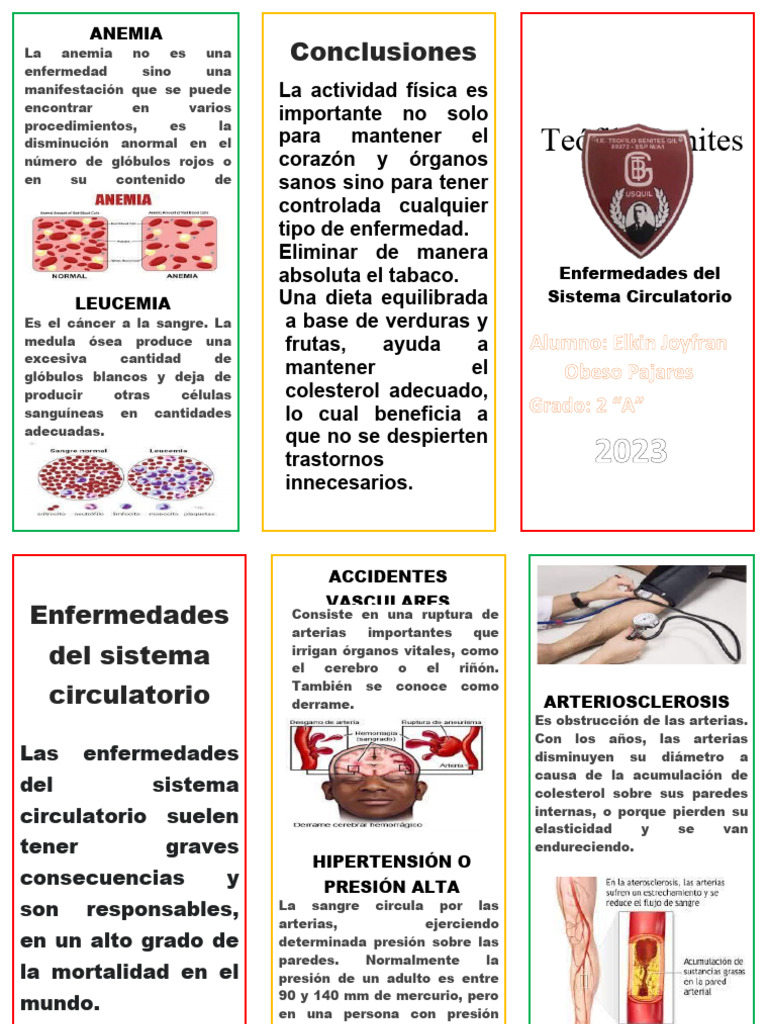 Triptico Enfermedades Del Sistema Circulatorio | PDF | Sangre | Artería Triptico Enfermedades Del Sistema Circulatorio | PDF | Sangre | Artería