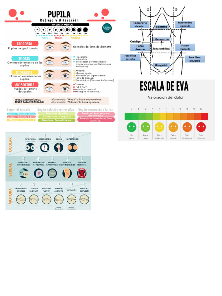 Esacala de Eva | PDF