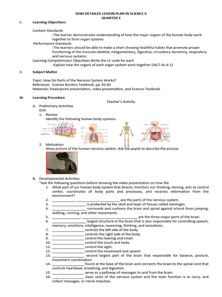 SEMI Detailed LP - q2 | PDF | Central Nervous System | Brain