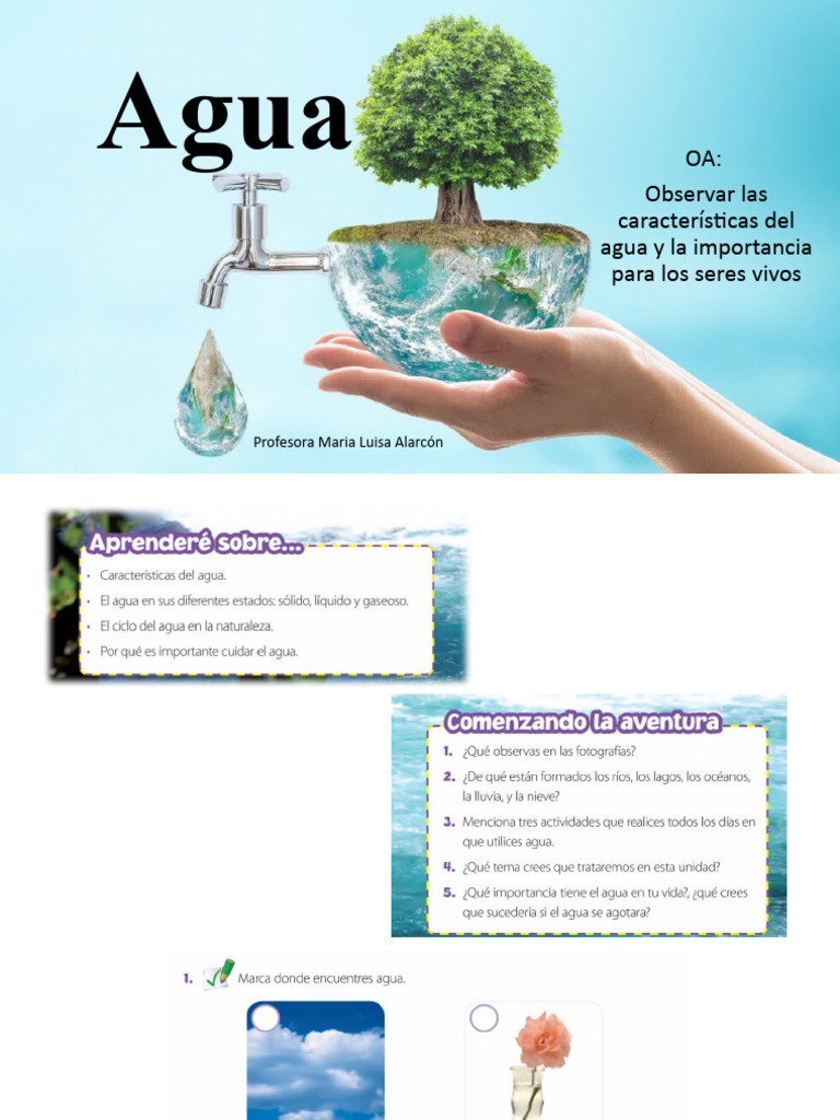 Agua Pdf Agua Heces