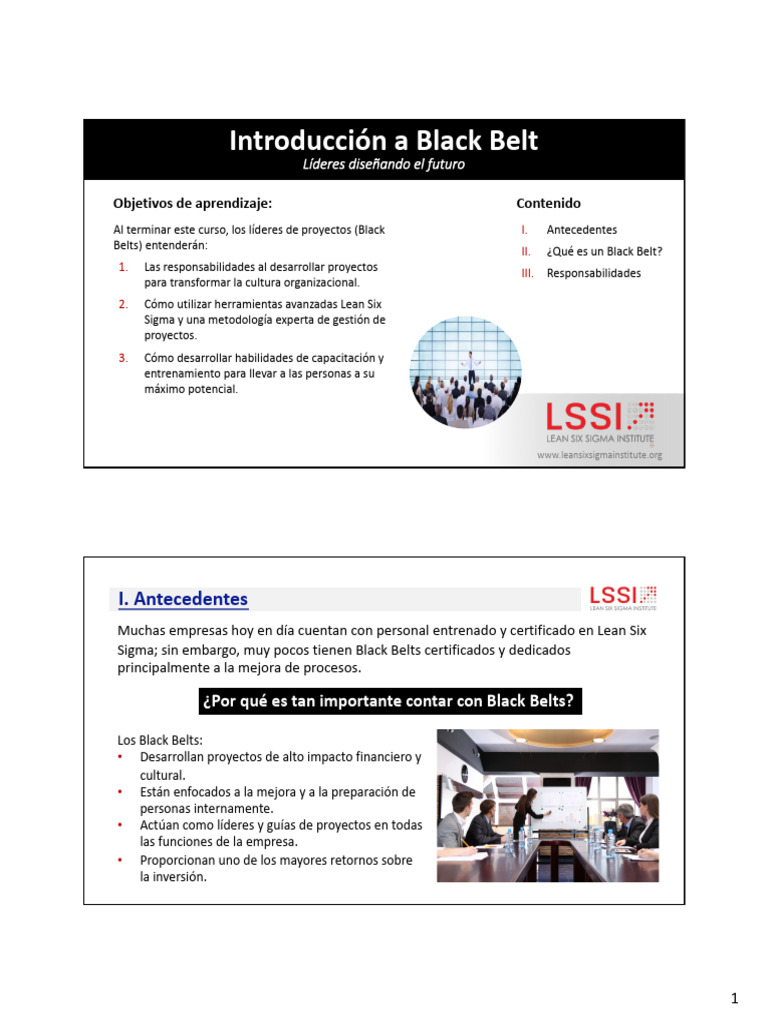 SCRUM | PDF | Scrum (desarrollo de software) | Six Sigma