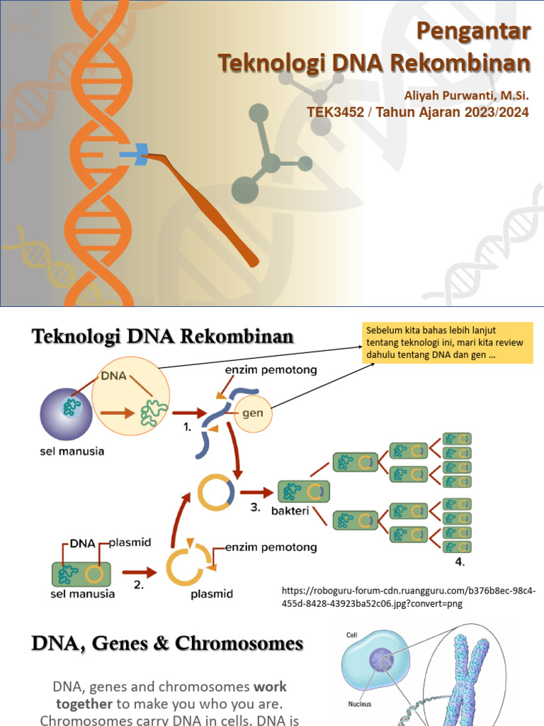 Tm2 Pengantar Teknologi Dna Rekombinan Ganjil 23 24 Pdf Dna Gene