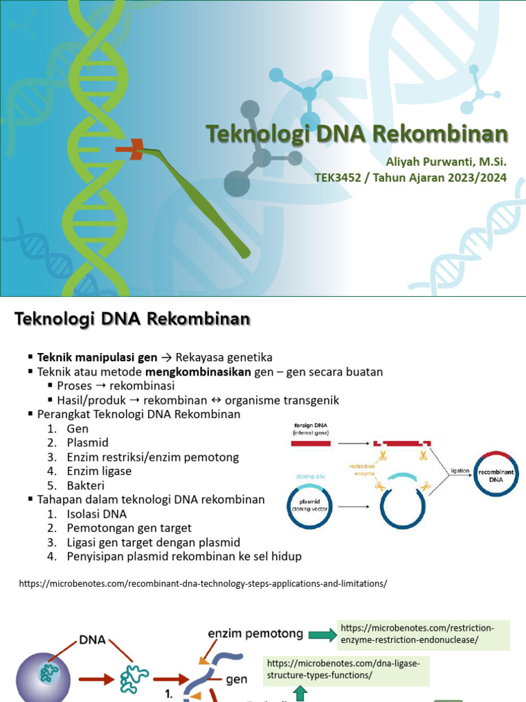 TM3._TEKNOLOGI_DNA_REKOMBINAN_GANJIL_23_24 | PDF | Dna | Recombinant Dna