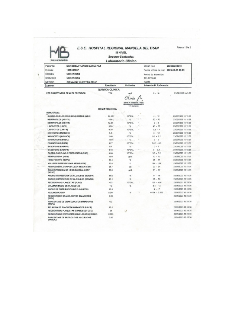 Cuadro Hematico | PDF