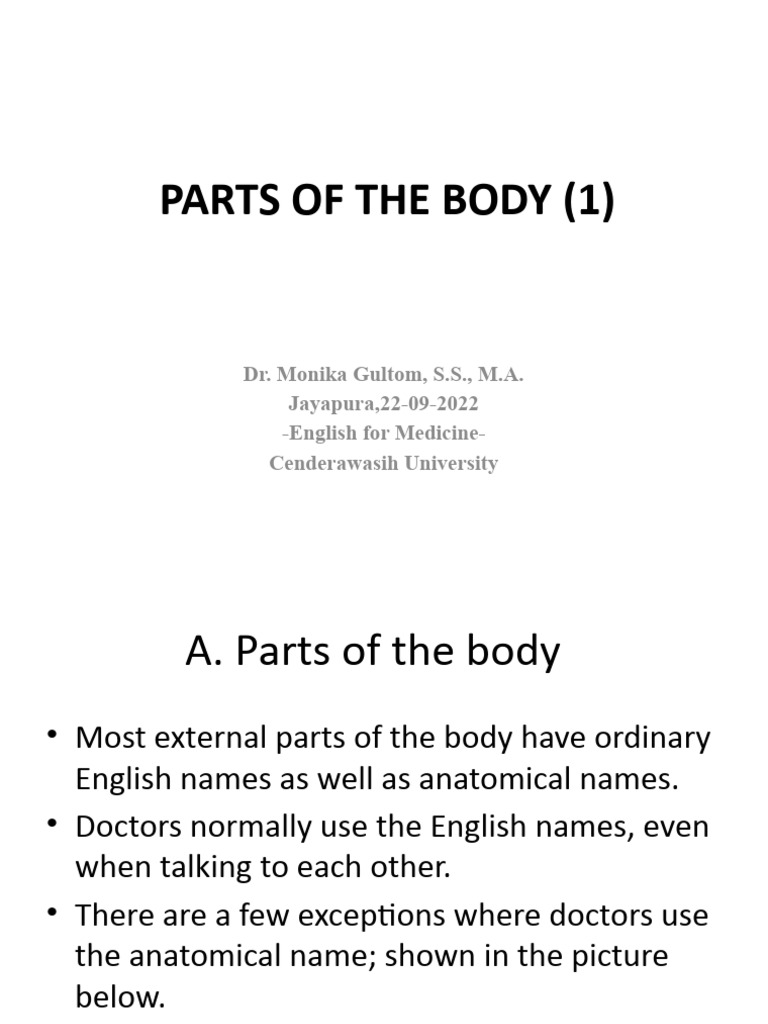 3a. Parts of The Body 1 | PDF | Medical Specialties | Diseases And ...