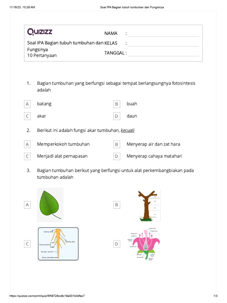 Soal IPA Bagian Tubuh Tumbuhan Dan Fungsinya | PDF Soal IPA Bagian Tubuh Tumbuhan Dan Fungsinya | PDF