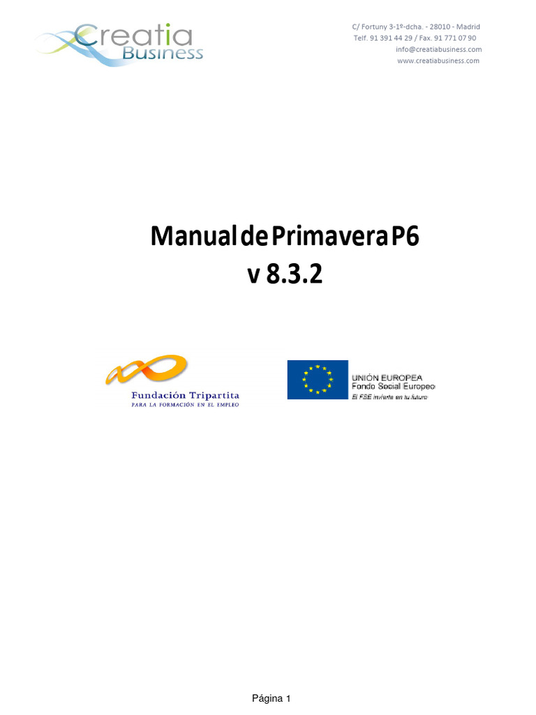 Manual Primavera P6 CBC | PDF | Planificación | Triángulo