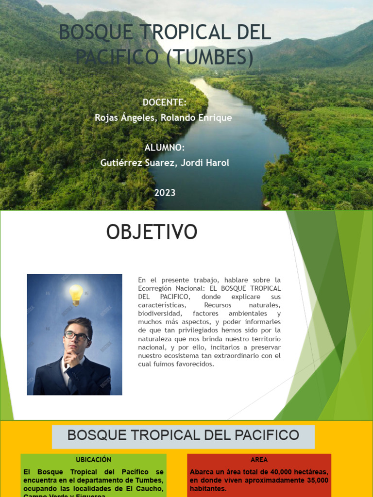 Bosque Tropical Del Pacifico (Tumbes) | PDF | Zona tropical | Selva