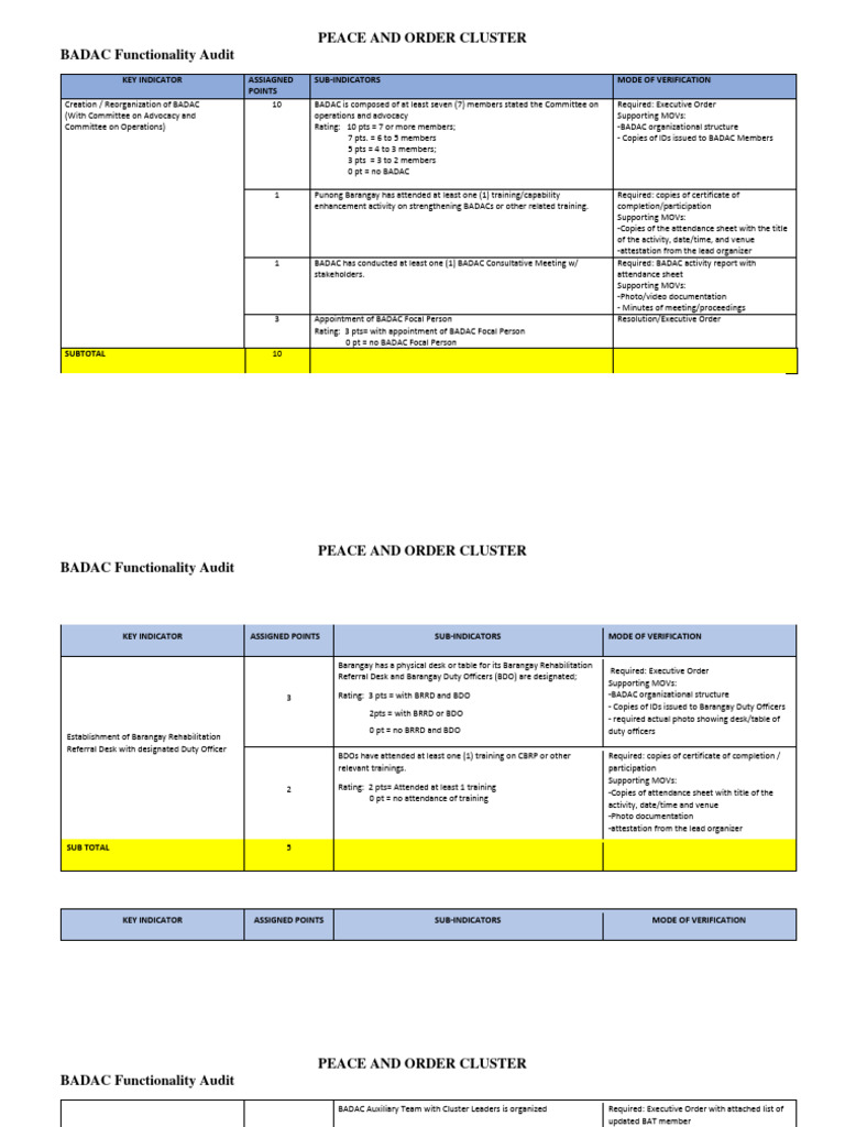 Badac Functionality Audit | PDF