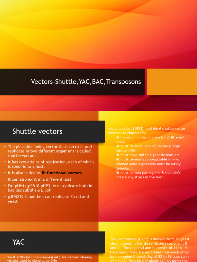Vectors Shuttle, YAC, BAC, Transposons | PDF | Transposable Element ...