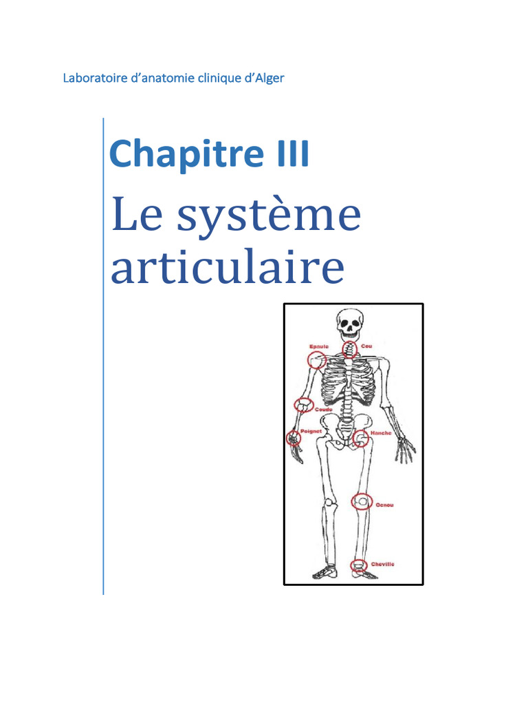 Système articulaire : définitions et classifications | PDF ...