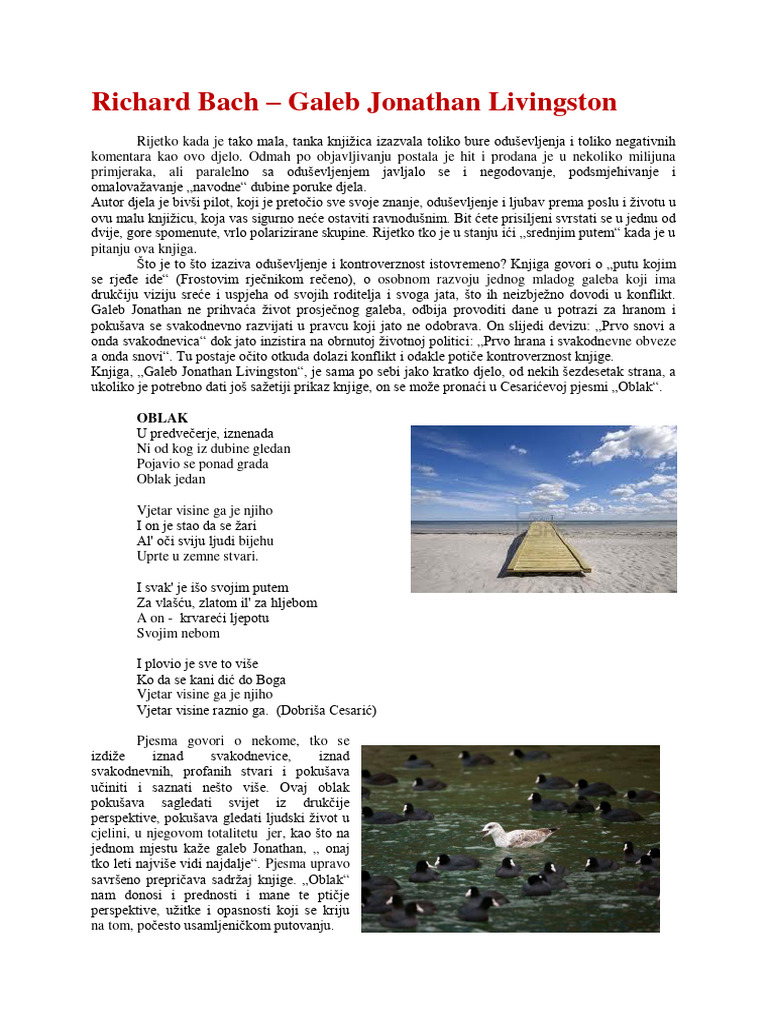 Richard Bach Galeb Jonathan Livingston | PDF