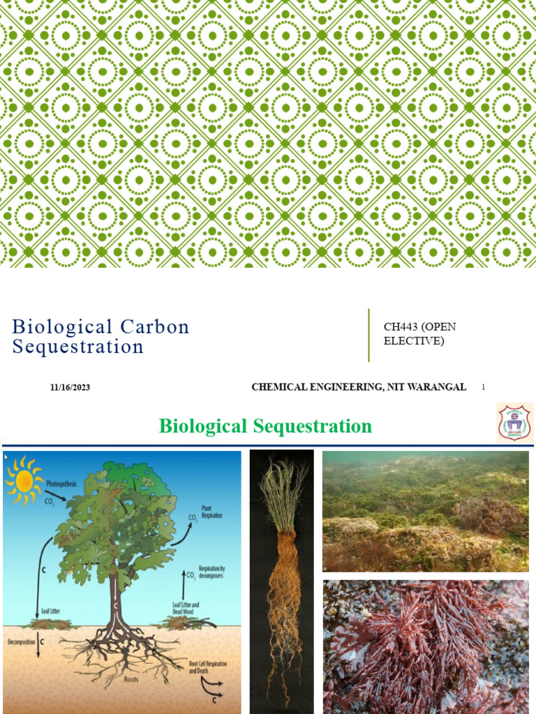 Class 5 Biological Sequestration | PDF | Algae Fuel | Carbon Dioxide