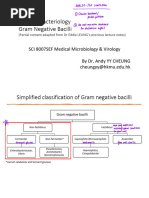 Aerococcus Urinae, Alloscardovia Omnicolens, and Actinotignum Schaalii ...