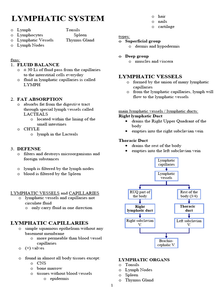 Anatomy and Physiology Handout # 14 Lympatic System | PDF | Lymphatic ...